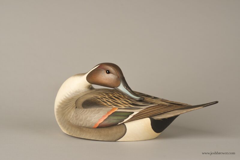 Gallery of Wildlife Sculpture and Decoys by Joshua Brewer