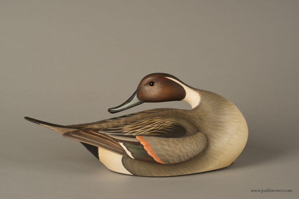 Decoys | Joshua S. Brewer