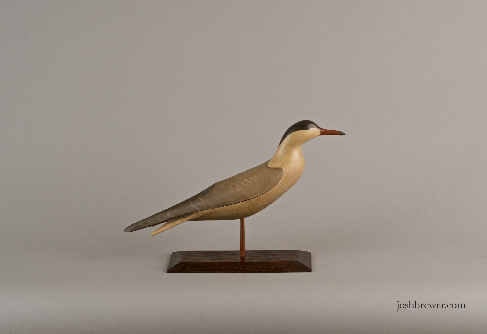 Other | Joshua S. Brewer