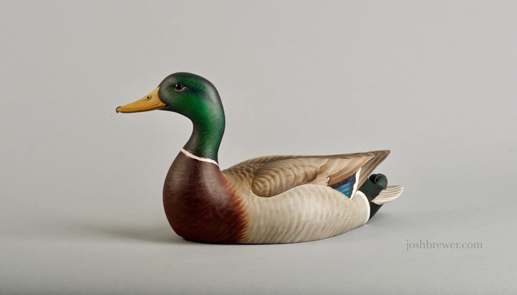 Mallard , 2024